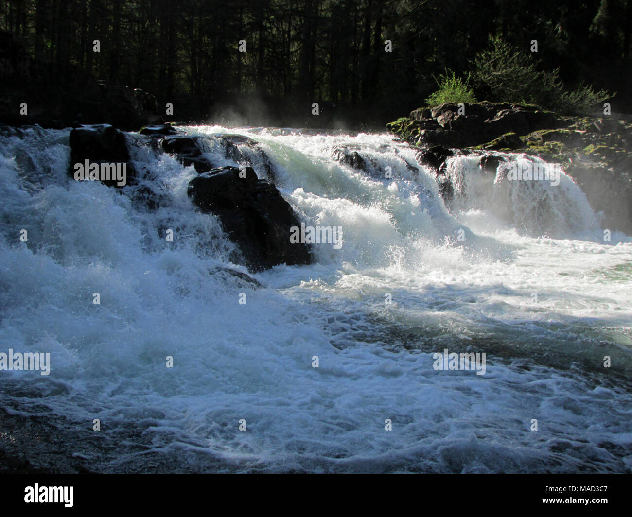 Lucia Falls Park at Lewis River in WA Stock Photo - Alamy