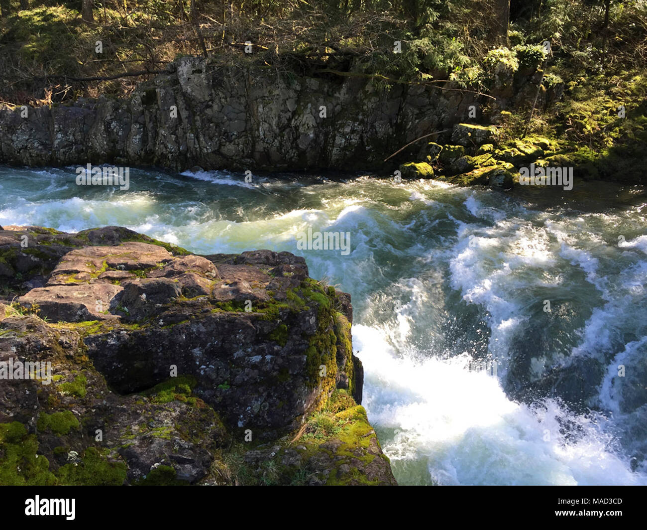 Lucia Falls Park at Lewis River in WA Stock Photo - Alamy