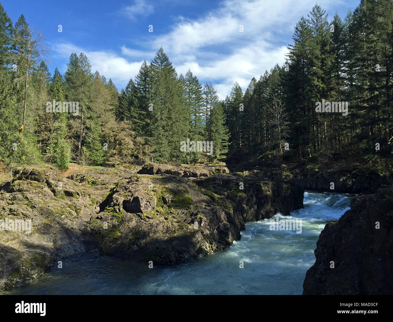 Lucia Falls Park at Lewis River in WA Stock Photo - Alamy