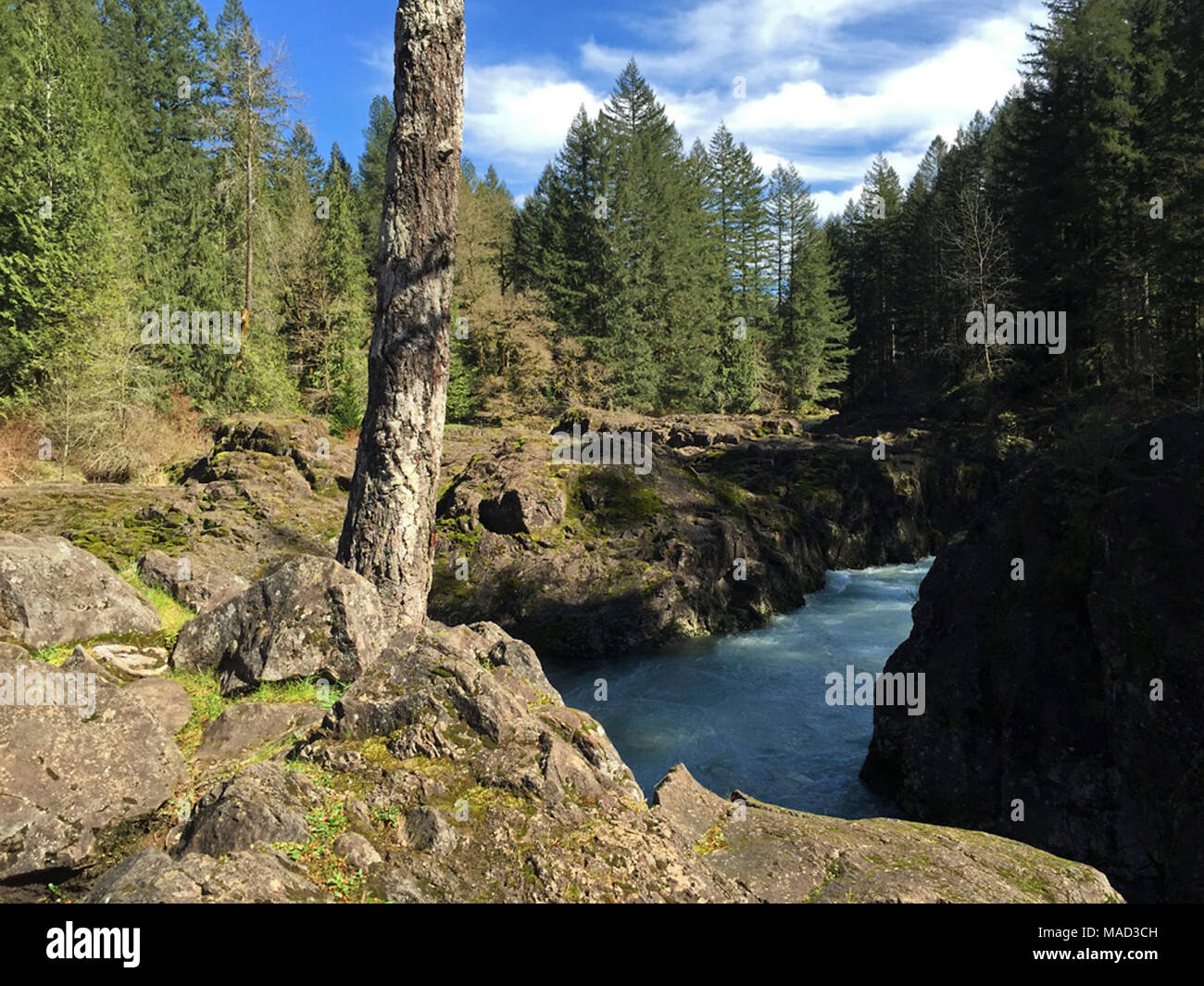 Lucia Falls Park at Lewis River in WA Stock Photo - Alamy