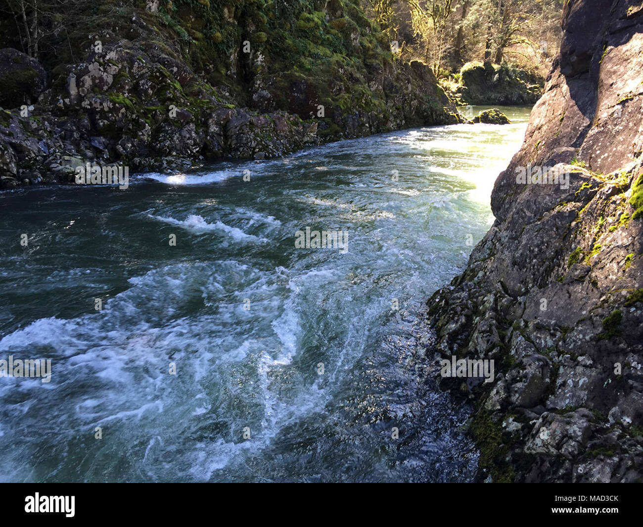 Lucia Falls Park at Lewis River in WA Stock Photo - Alamy