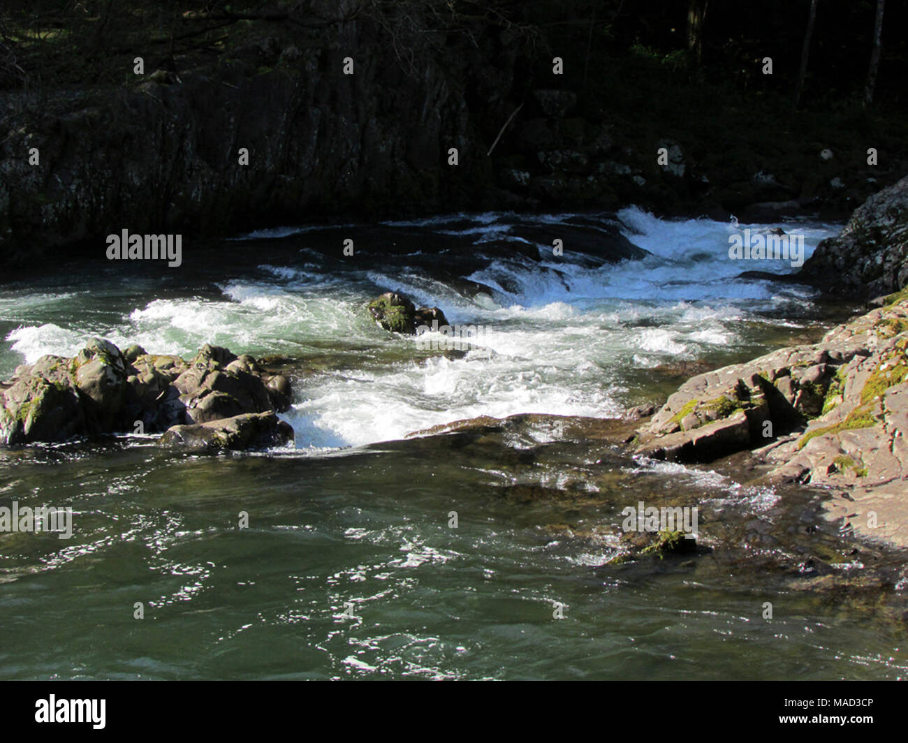 Lucia Falls Park at Lewis River in WA Stock Photo - Alamy