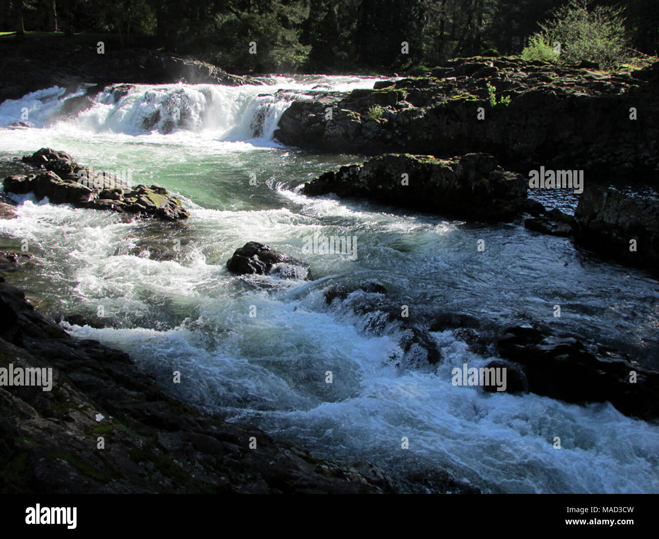Lucia Falls Park at Lewis River in WA Stock Photo - Alamy