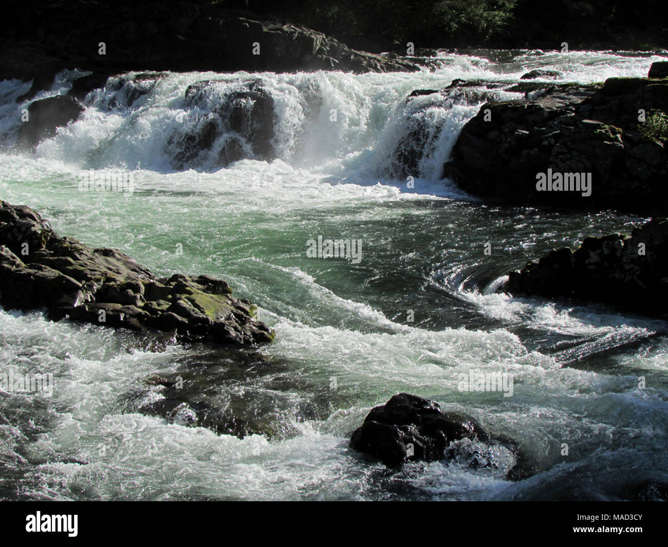 Lucia Falls Park at Lewis River in WA Stock Photo - Alamy