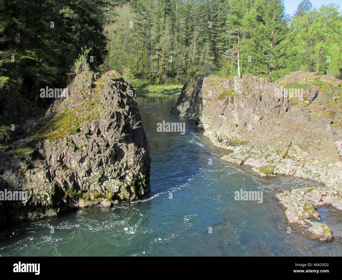 Lucia Falls Park at Lewis River in WA Stock Photo - Alamy