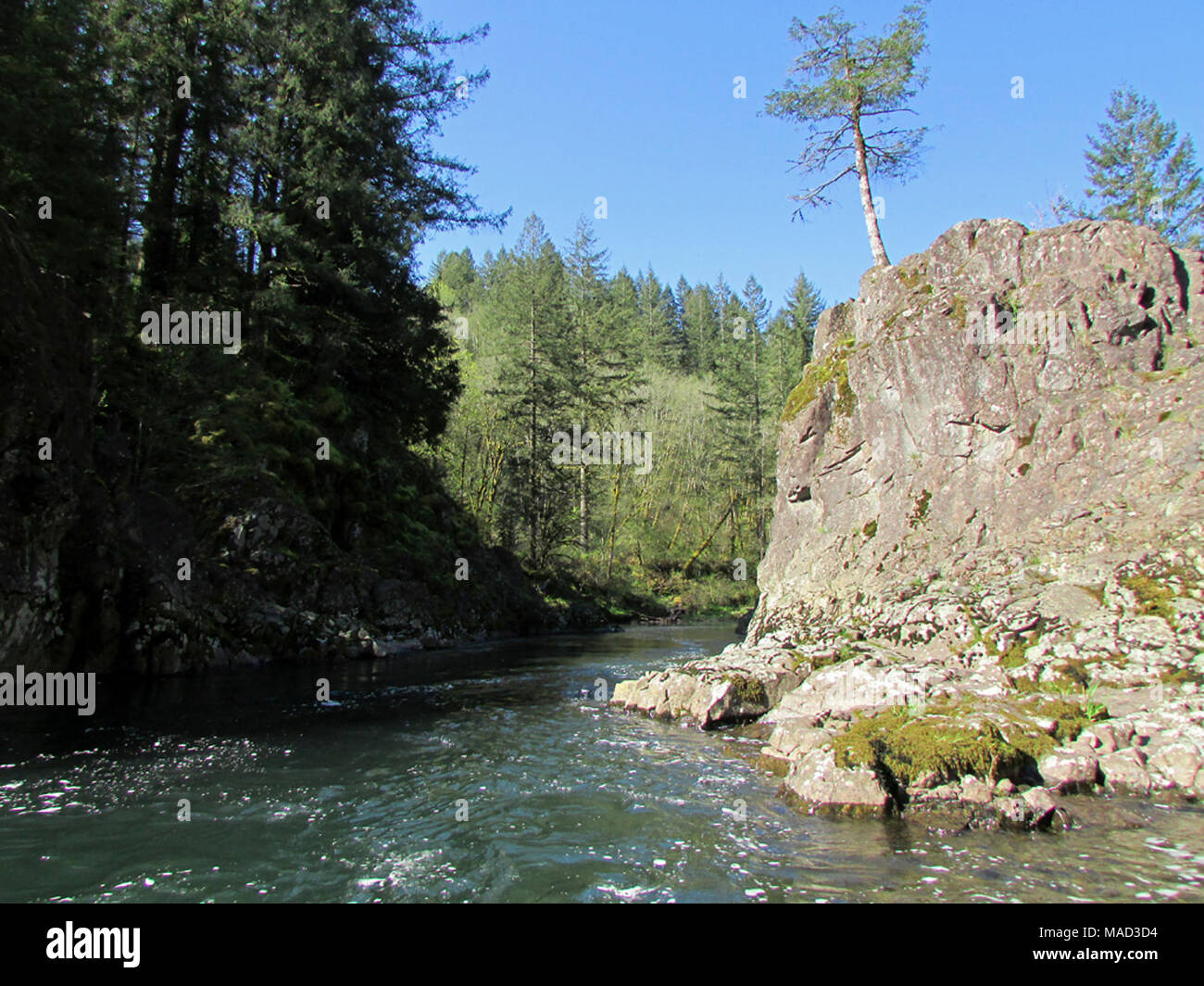 Lucia Falls Park at Lewis River in WA Stock Photo - Alamy