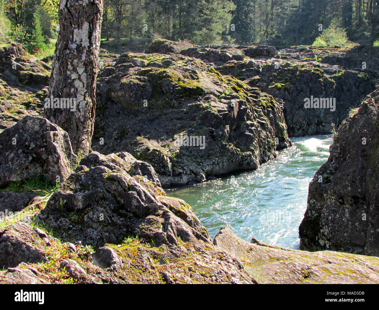 Lucia Falls Park at Lewis River in WA Stock Photo - Alamy