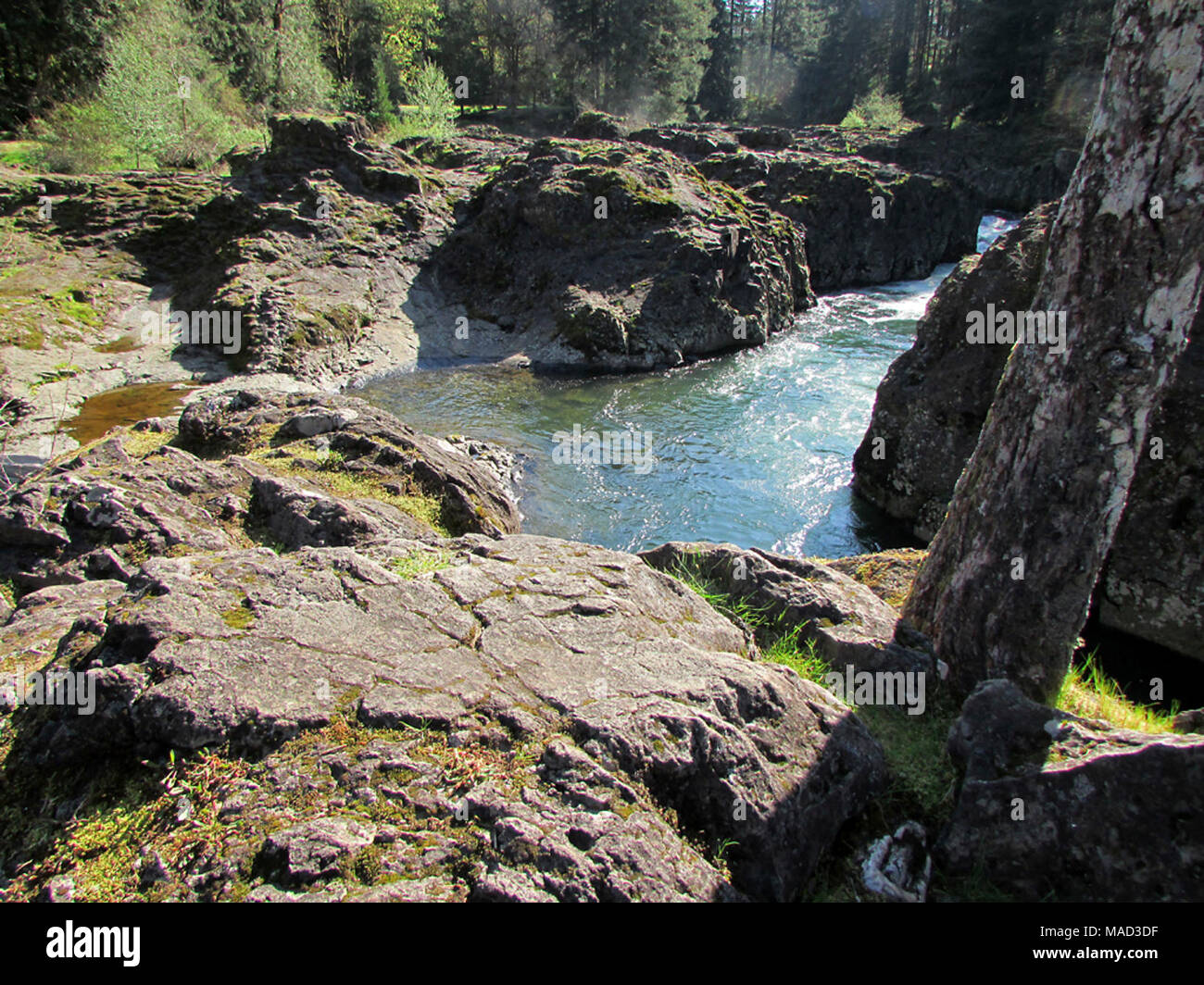 Lucia Falls Park at Lewis River in WA Stock Photo - Alamy