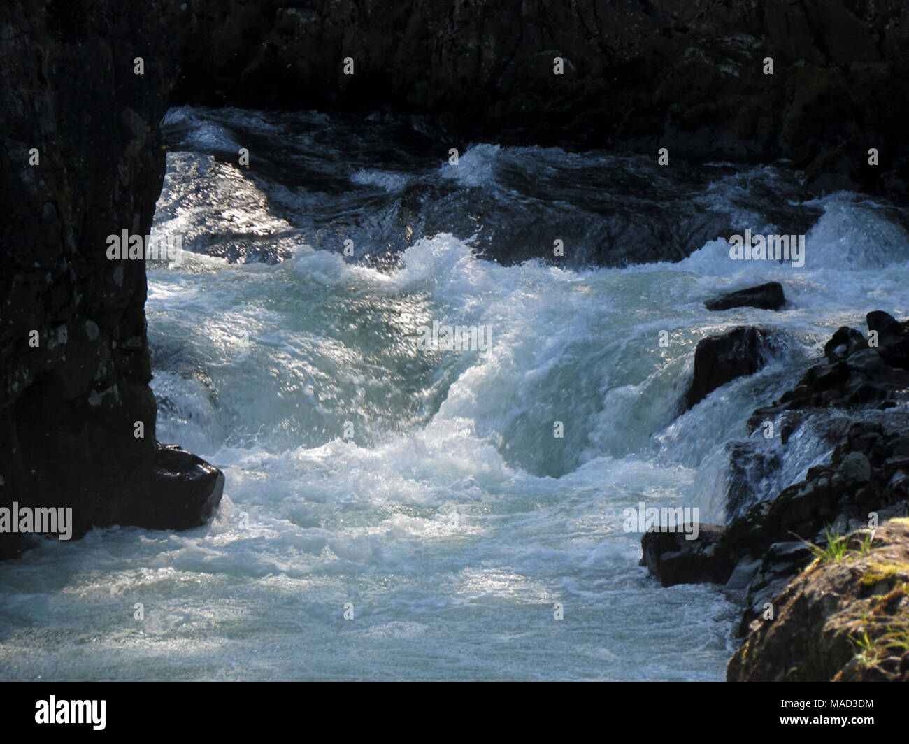 Lucia Falls Park at Lewis River in WA Stock Photo - Alamy