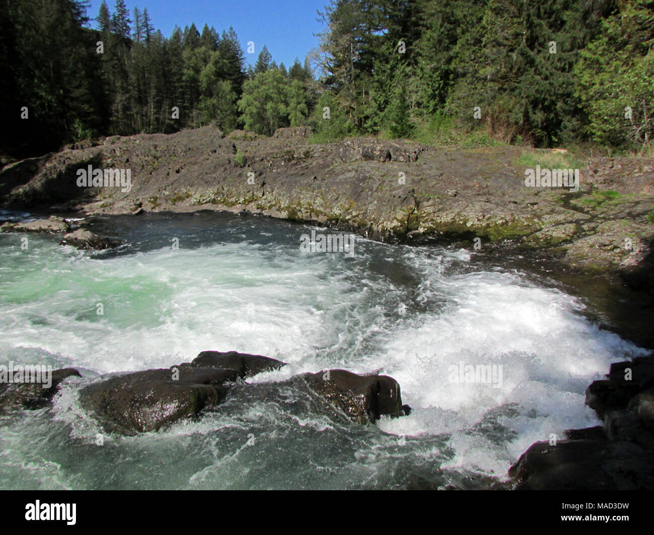 Lucia Falls Park at Lewis River in WA Stock Photo - Alamy