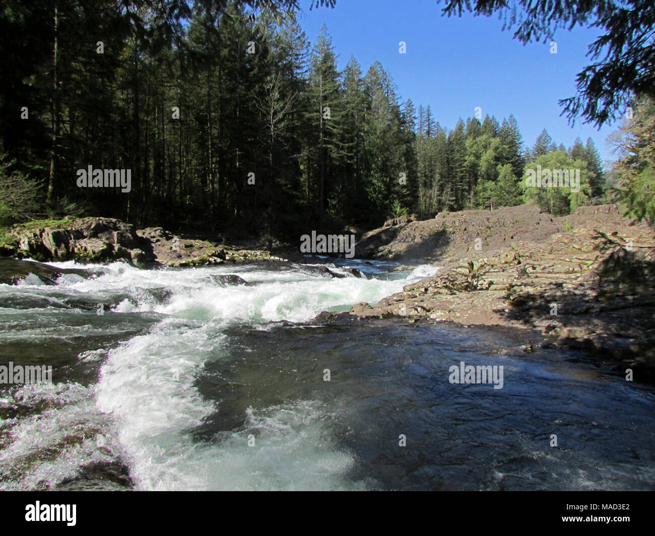 Lucia Falls Park at Lewis River in WA Stock Photo - Alamy