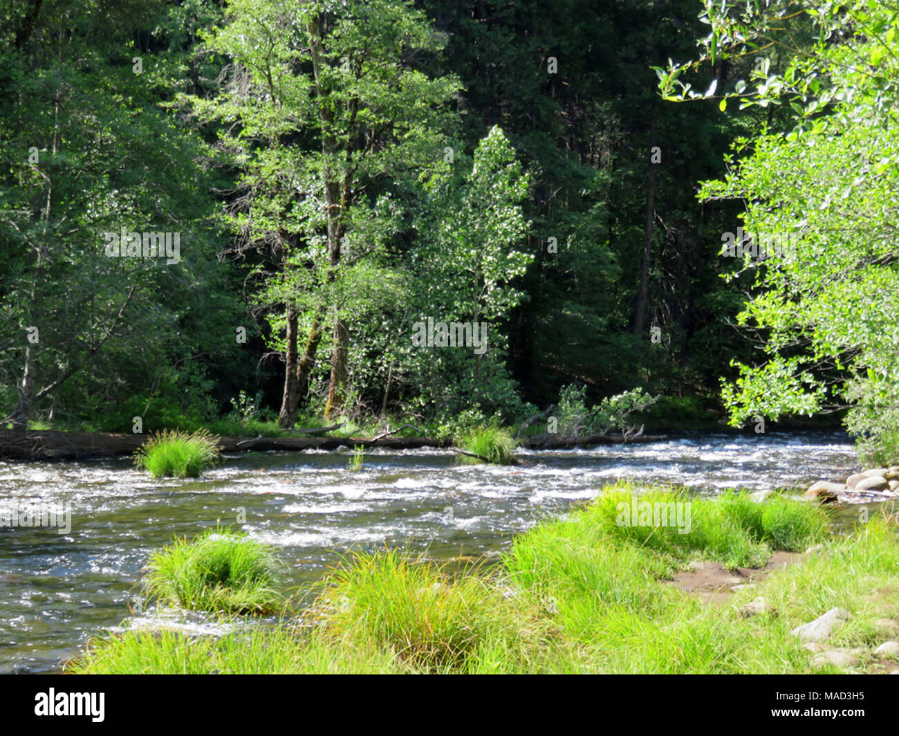 Merced national wildlife refuge in hi-res stock photography and images ...