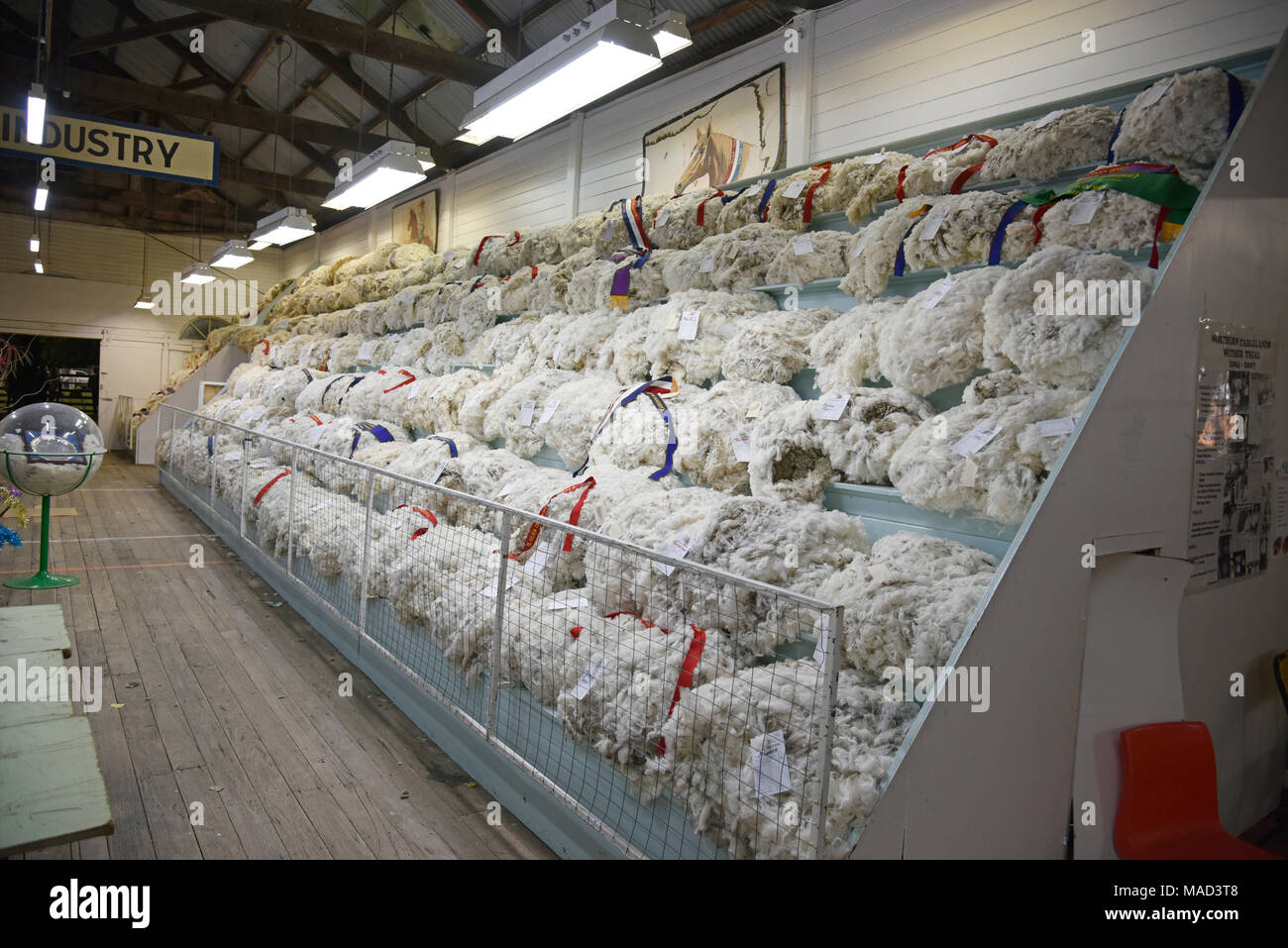 glen innes show 2018 sheep wool fleece competition display at glen ...