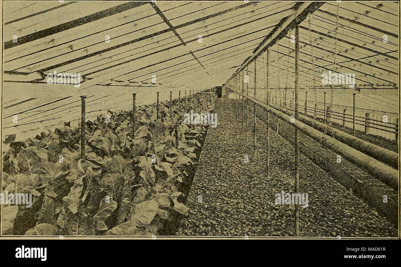 Crop Rotation Industrial Revolution