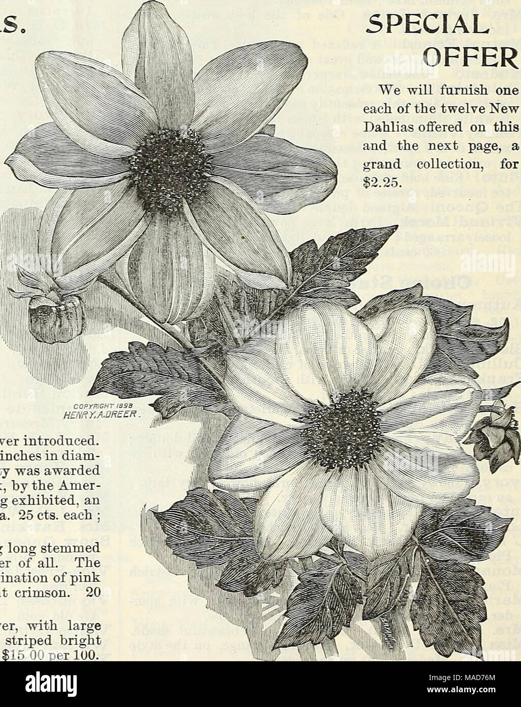 . Dreer's quarterly wholesale price list of tools, fertilizers ...