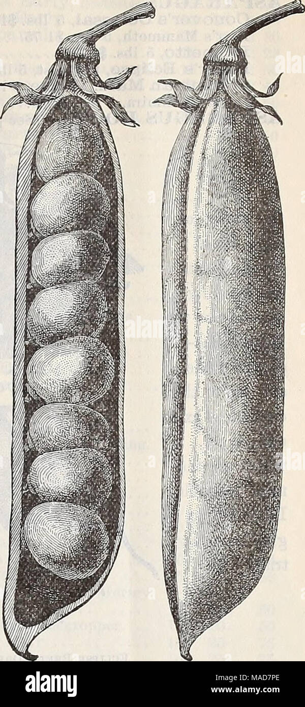 Gradus High Resolution Stock Photography and Images - Alamy