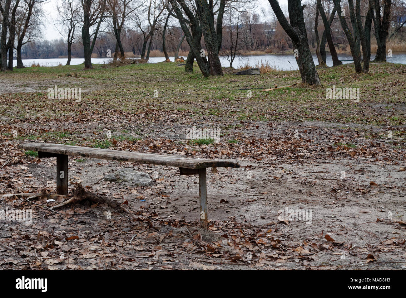 Path with trees and benches in a park, good for background, fall colors ...