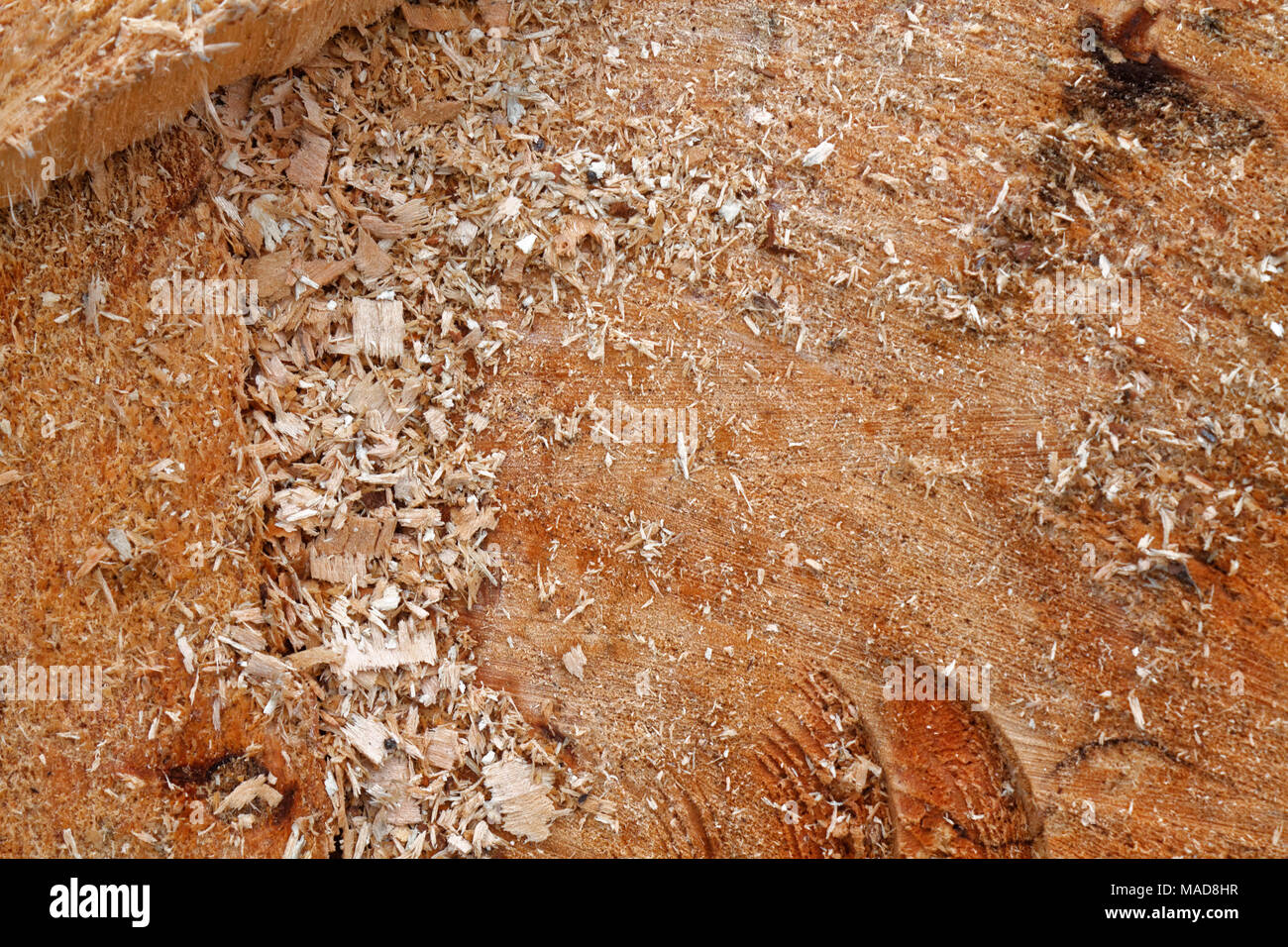Stump wooden structure for texture or background Stock Photo - Alamy