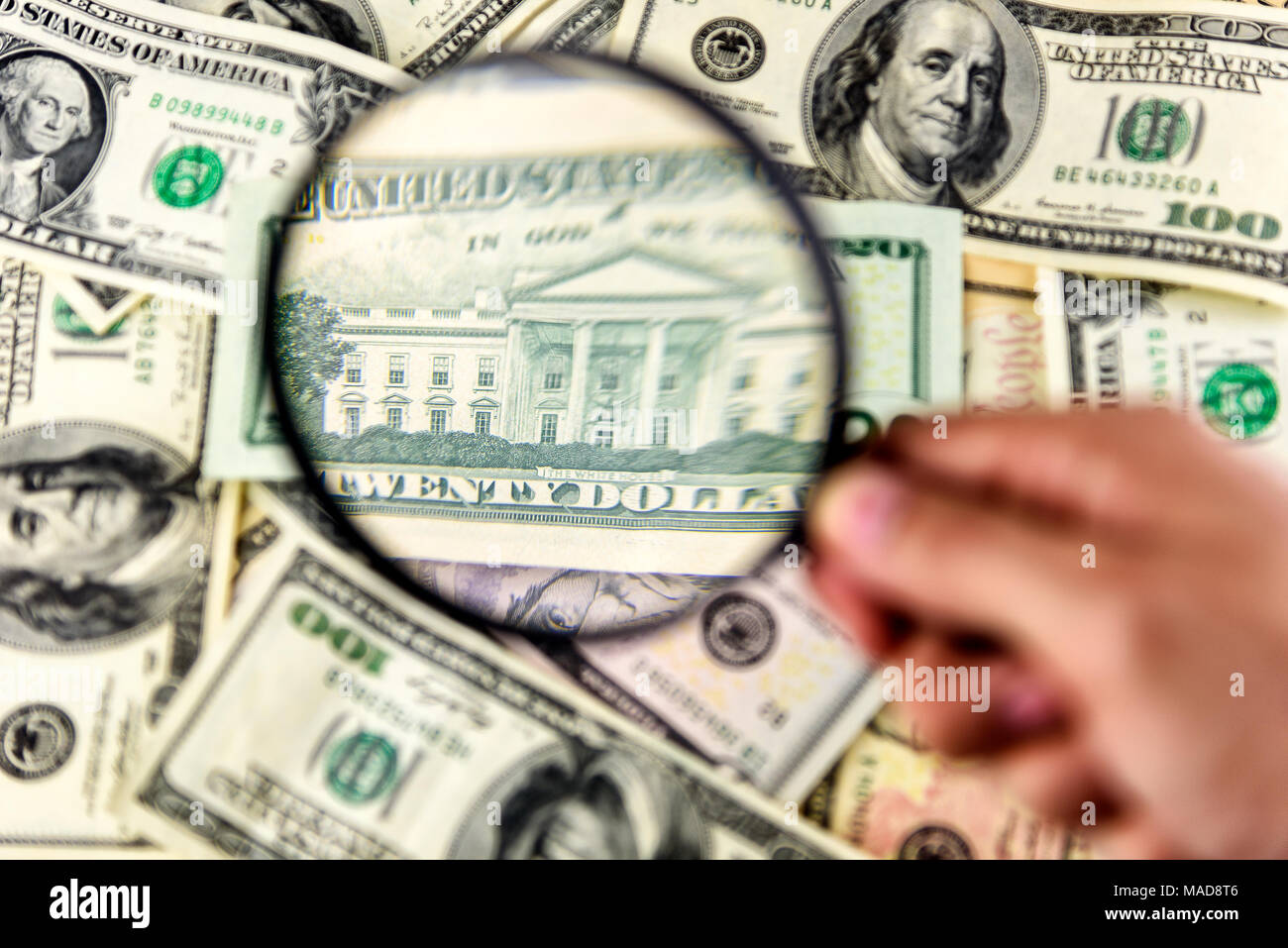 Dollar with magnifier. Magnifying glass and money. Business concept ...