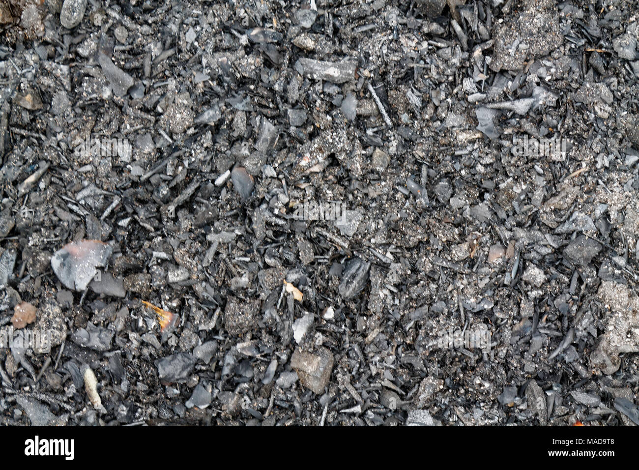 Burnt cigarette ashes hi-res stock photography and images - Alamy