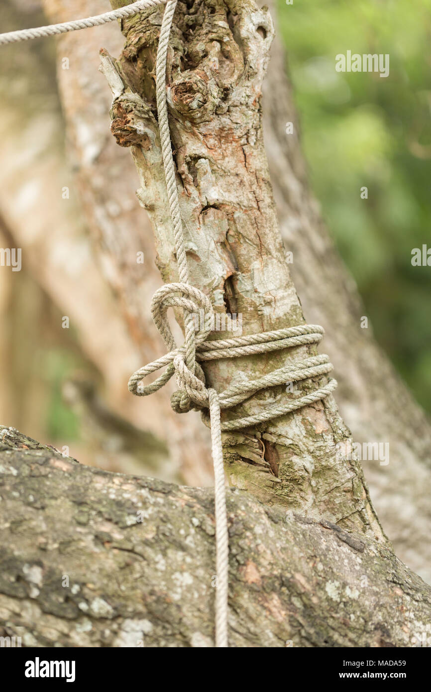 rope tied knot pole close up Stock Photo - Alamy