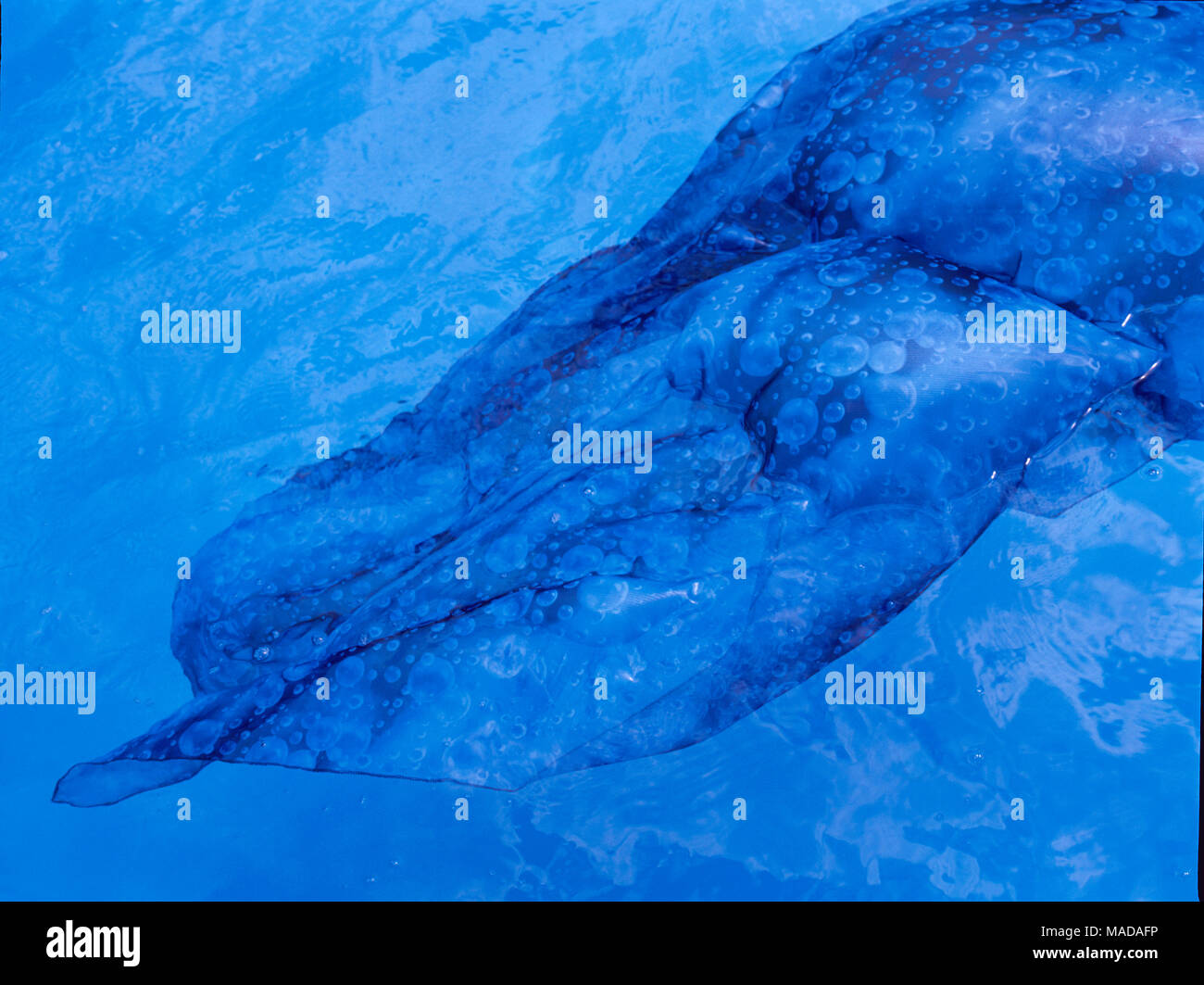 Blue fabric floating in pool Stock Photo - Alamy