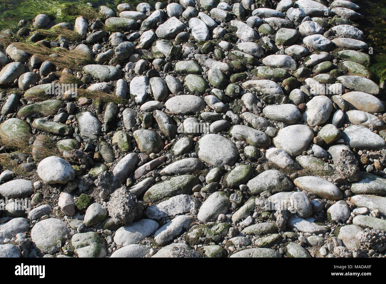 Nice background image of pebbles, round rocks texture Stock Photo - Alamy