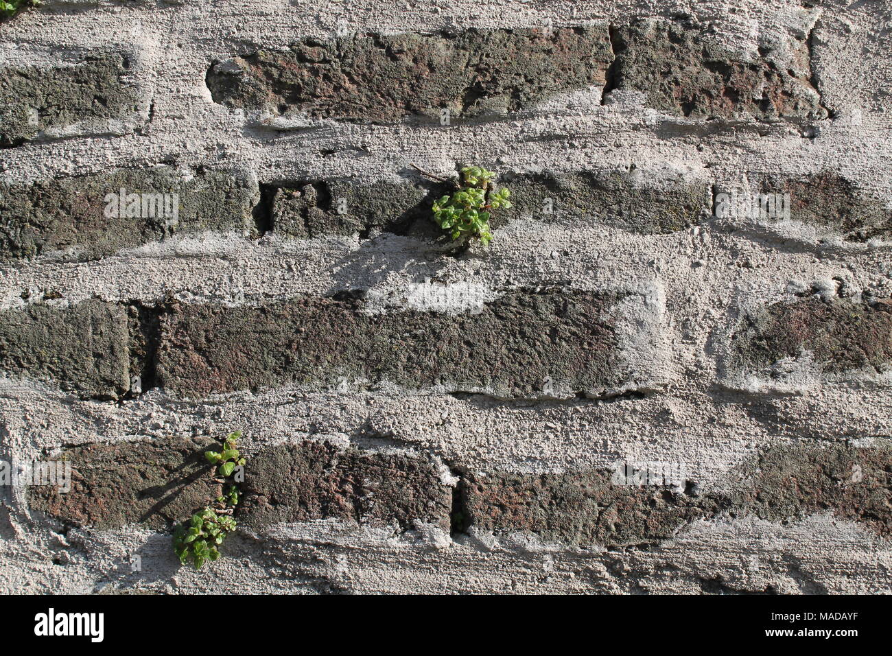 Brick wall stone background - texture for continuous rocks Stock Photo ...