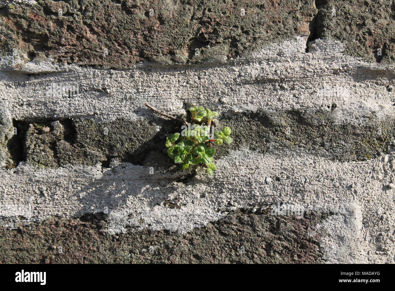 Brick wall stone background - texture for continuous rocks Stock Photo ...