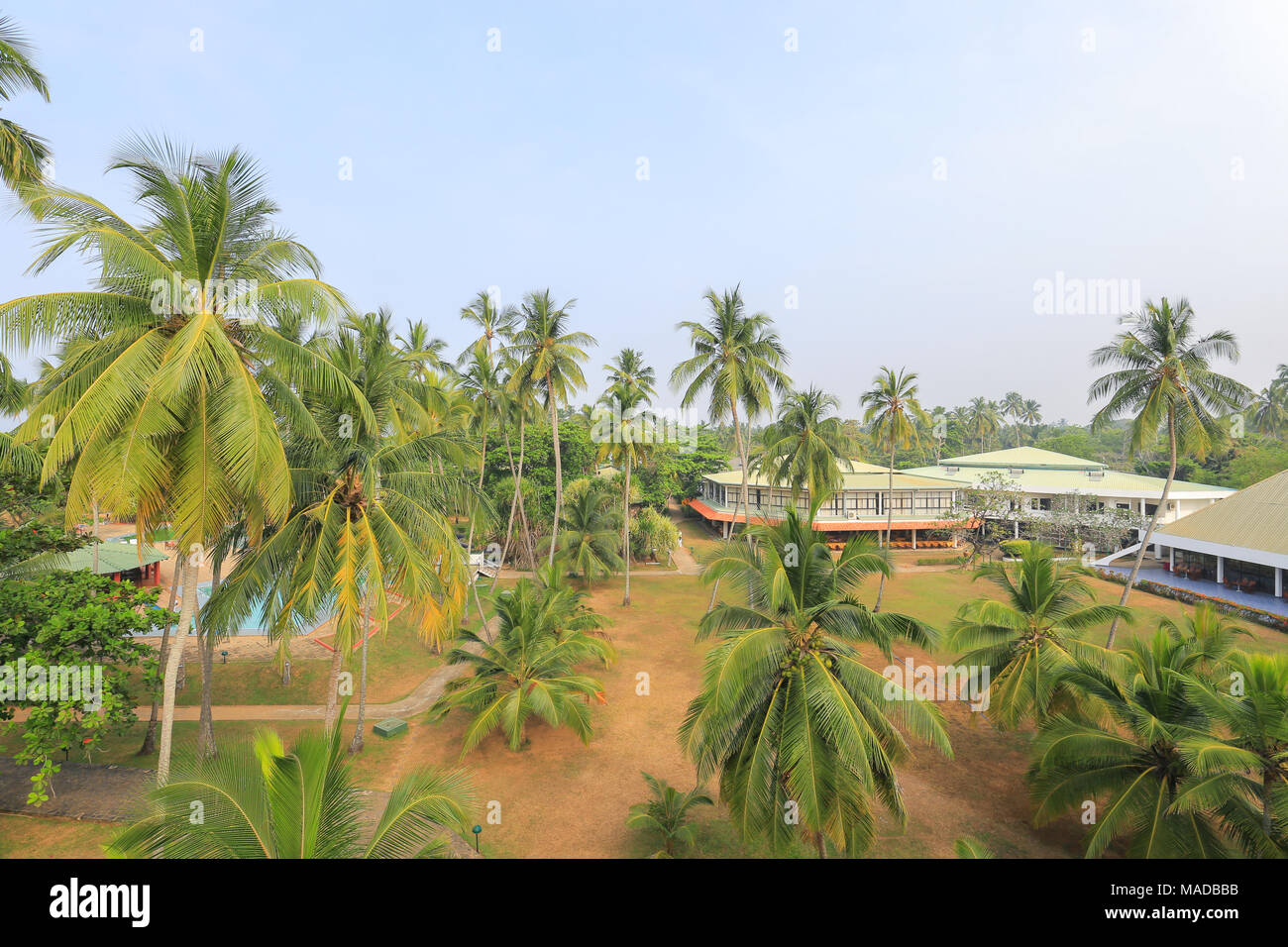 Hotel with coconut trees in Sri Lanka Stock Photo - Alamy
