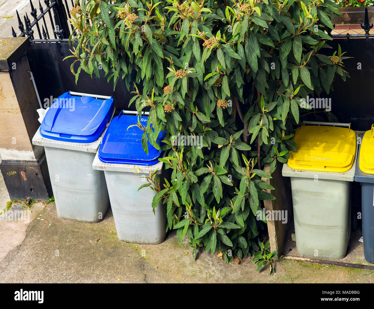 Dust bin hi-res stock photography and images - Alamy
