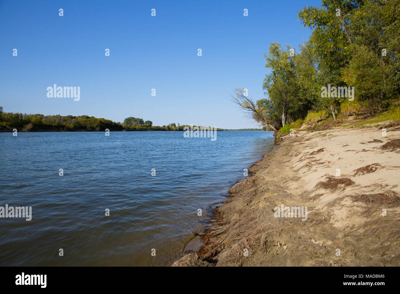 Summer riverside in the forest with sharp descent Stock Photo - Alamy