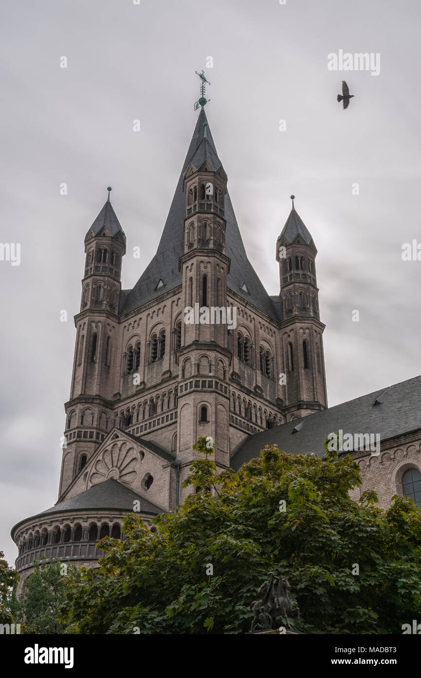The Romanesque Catholic church "Gross Sankt Martin" (Great St. Martin ...