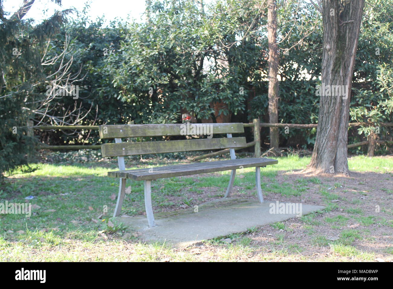 Park benches in the city in spring Stock Photo - Alamy