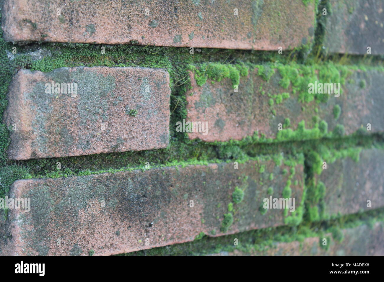Brick wall stone background - texture for continuous rocks Stock Photo ...