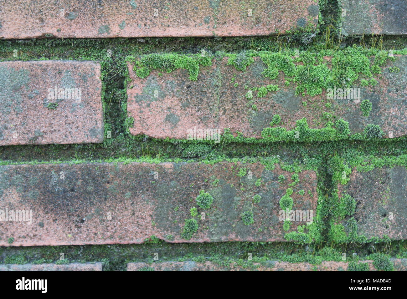 Brick wall stone background - texture for continuous rocks Stock Photo ...