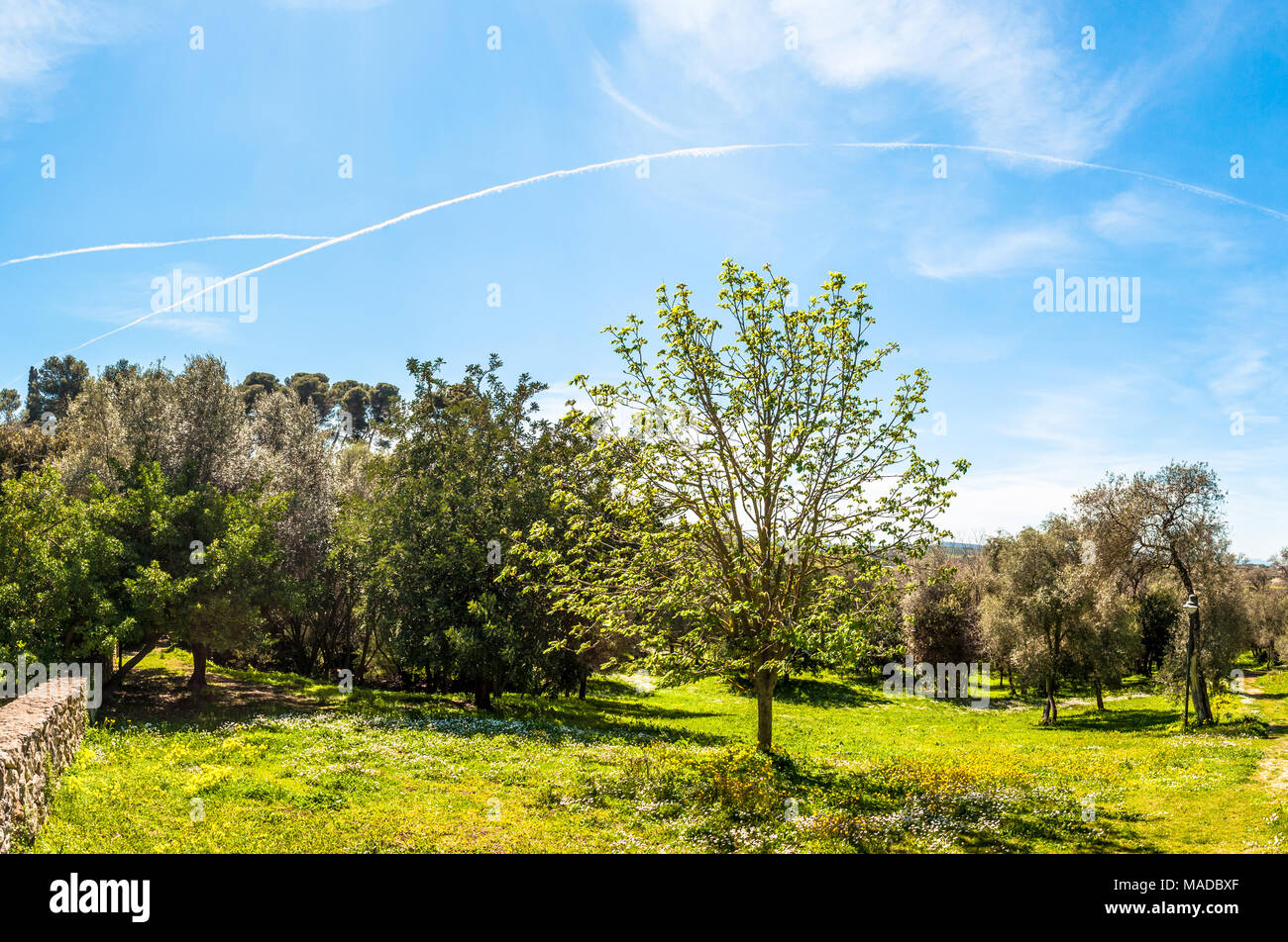The park of Monserrato, in the city of Sassari, in a sunny day of ...