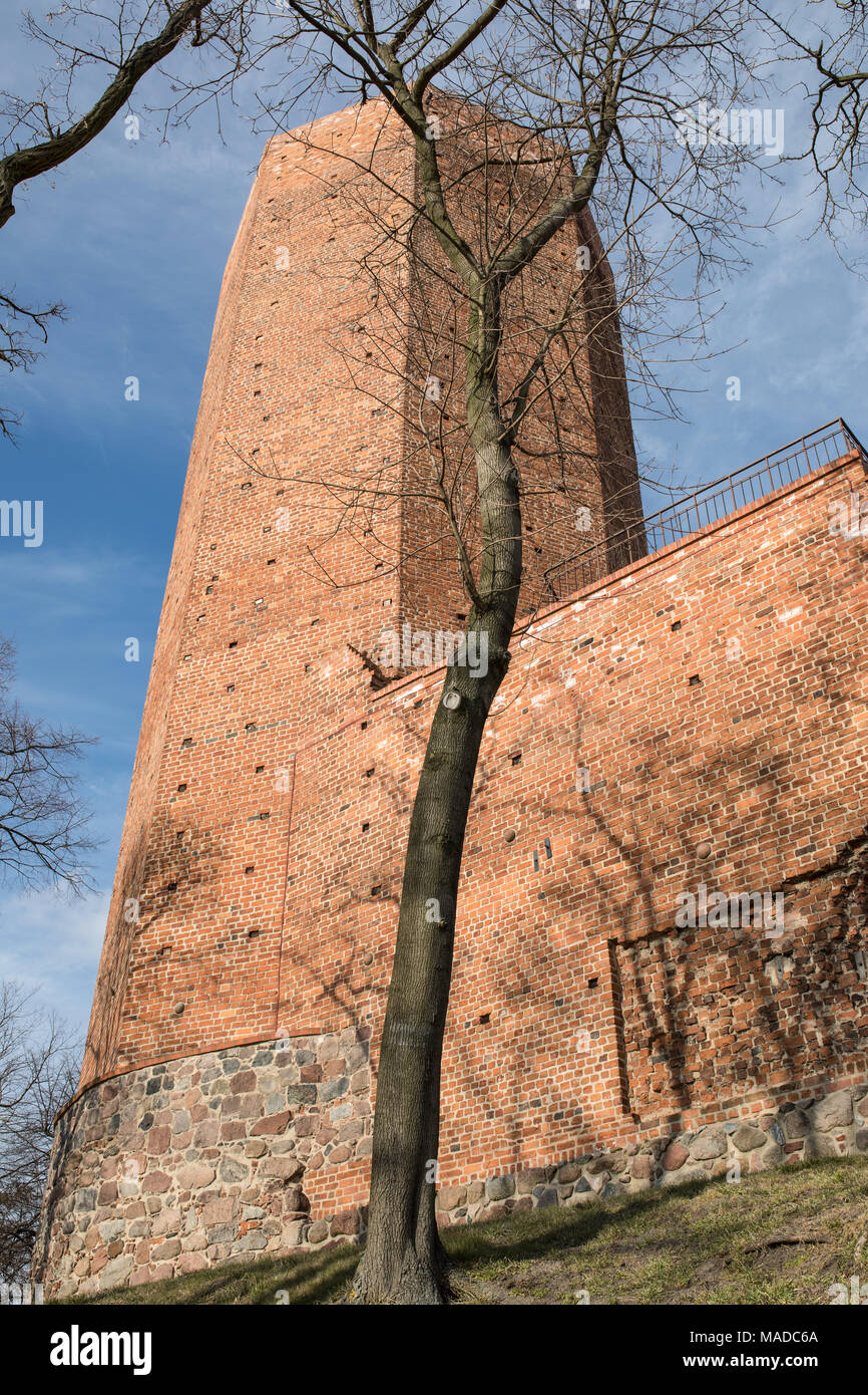 Mysia wieza hi-res stock photography and images - Alamy