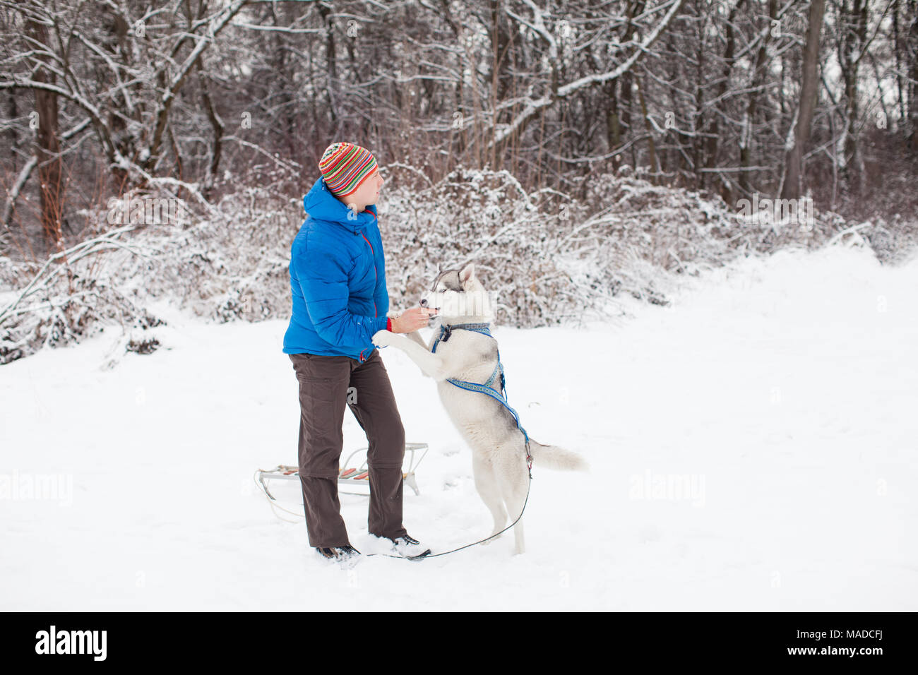Man with husky dog Stock Photo - Alamy