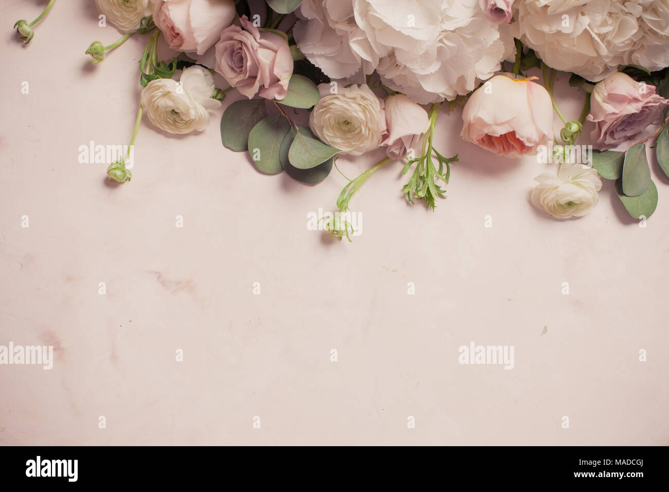 White flowers border Stock Photo - Alamy