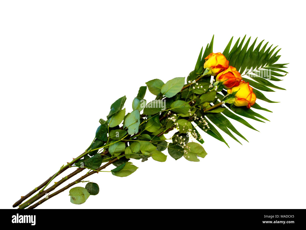 Image of a beautiful bouquet of three yellow-red roses Stock Photo - Alamy