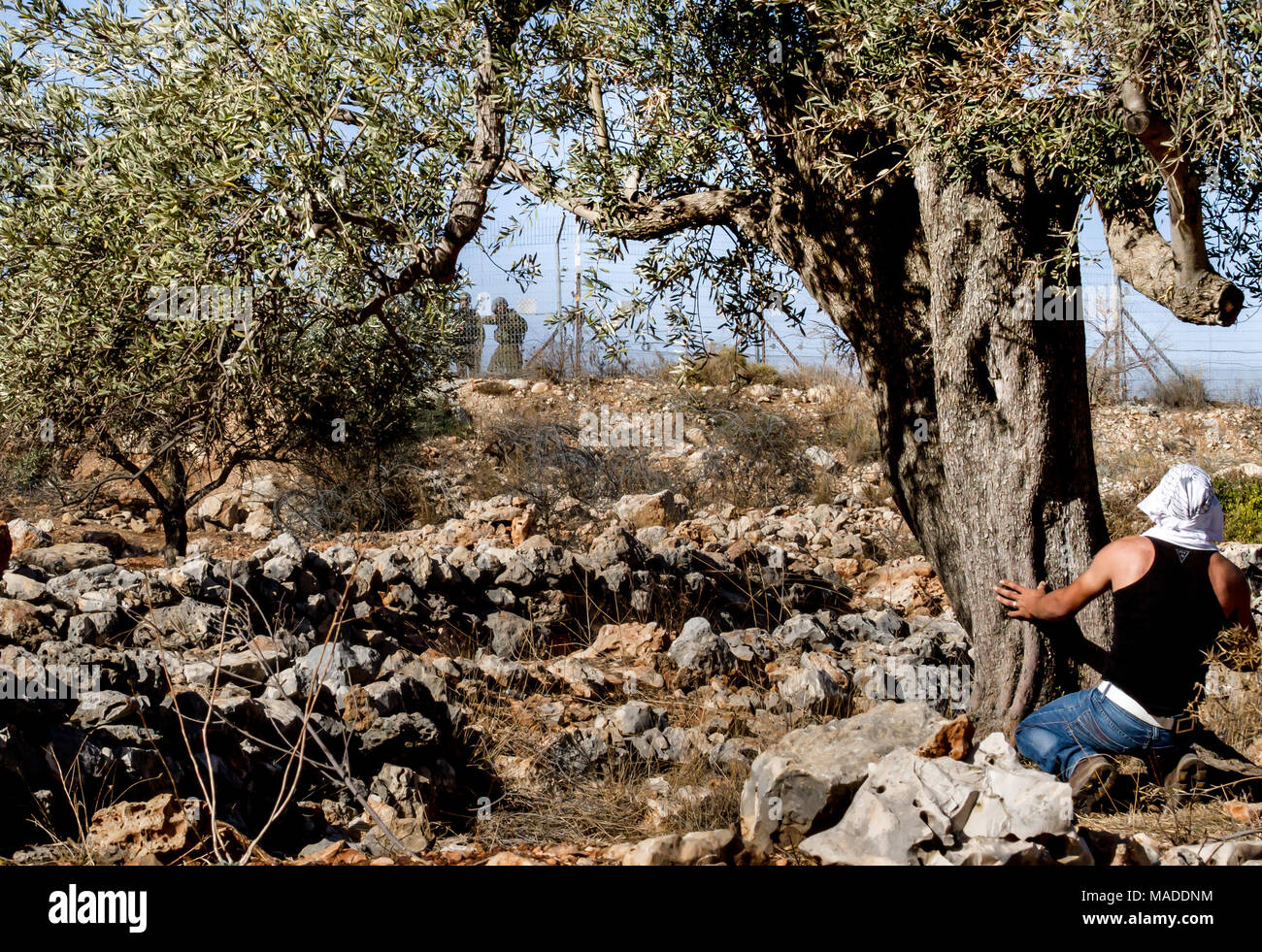 Group of people standing behind fence hi-res stock photography and ...