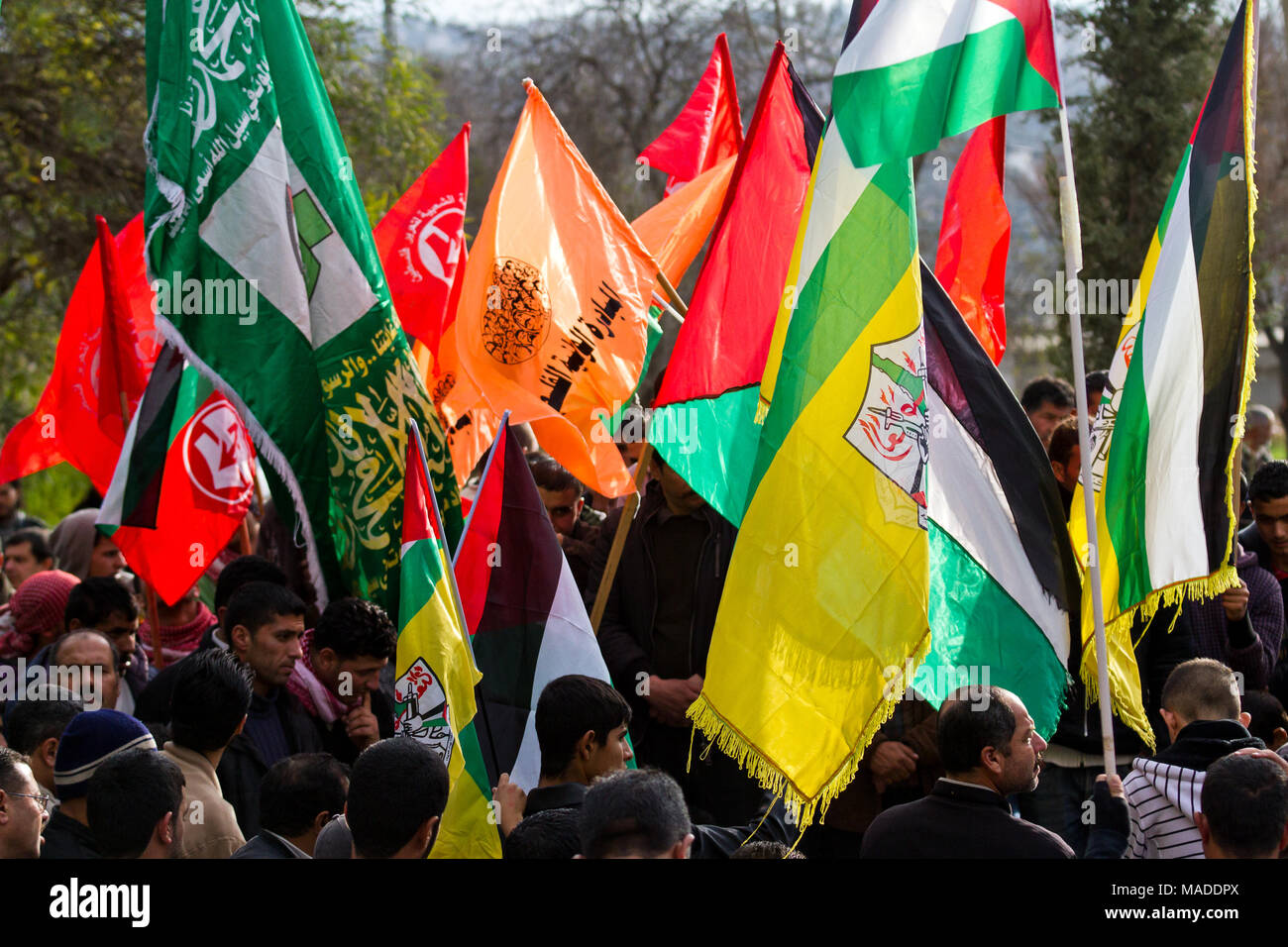 Bilin, Palestine, January 1, 2011: Palestinian flags as well as Fatah ...