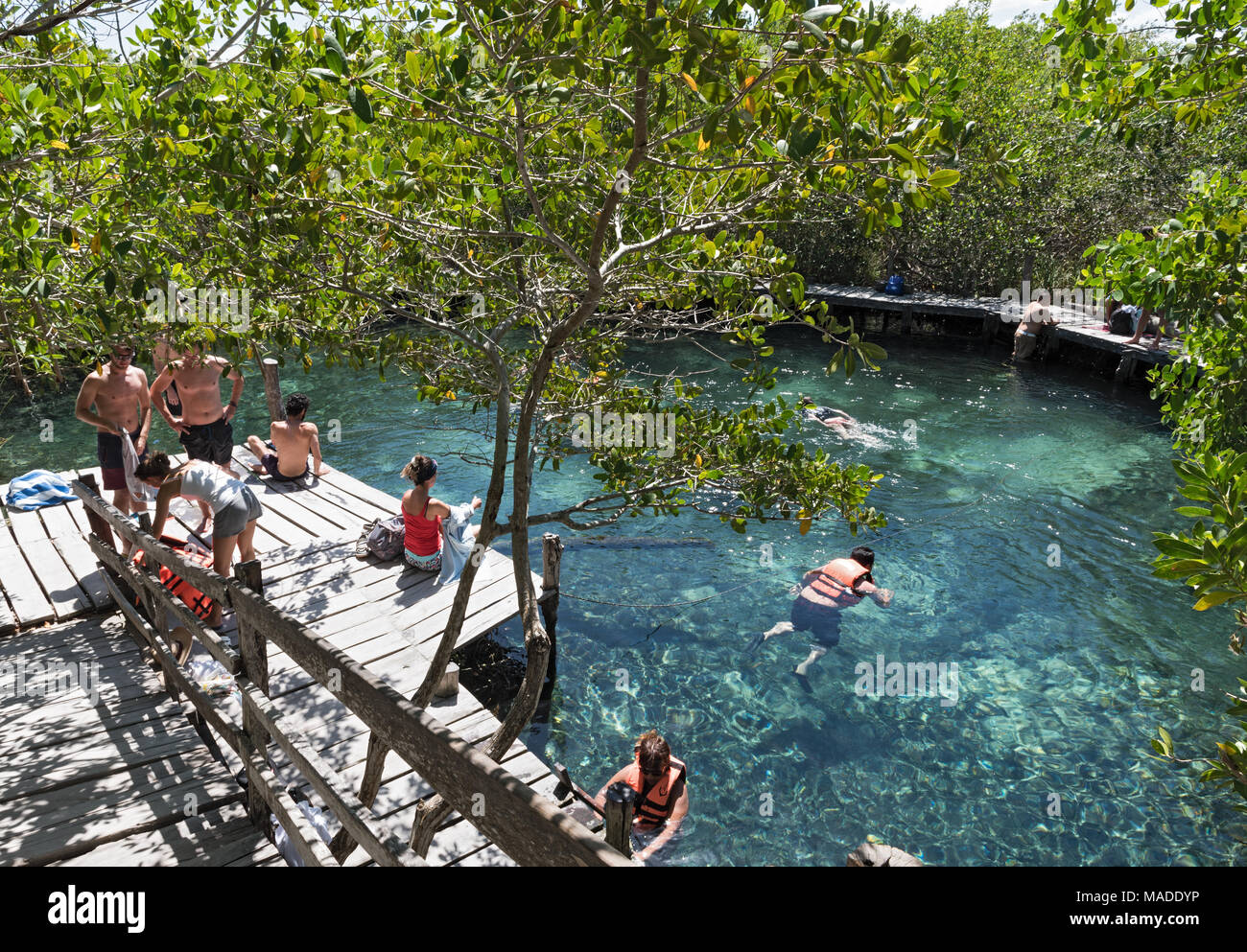 Tourists swimming in the Cenote Yalahau, Holbox, Quintana Roo, Mexico ...