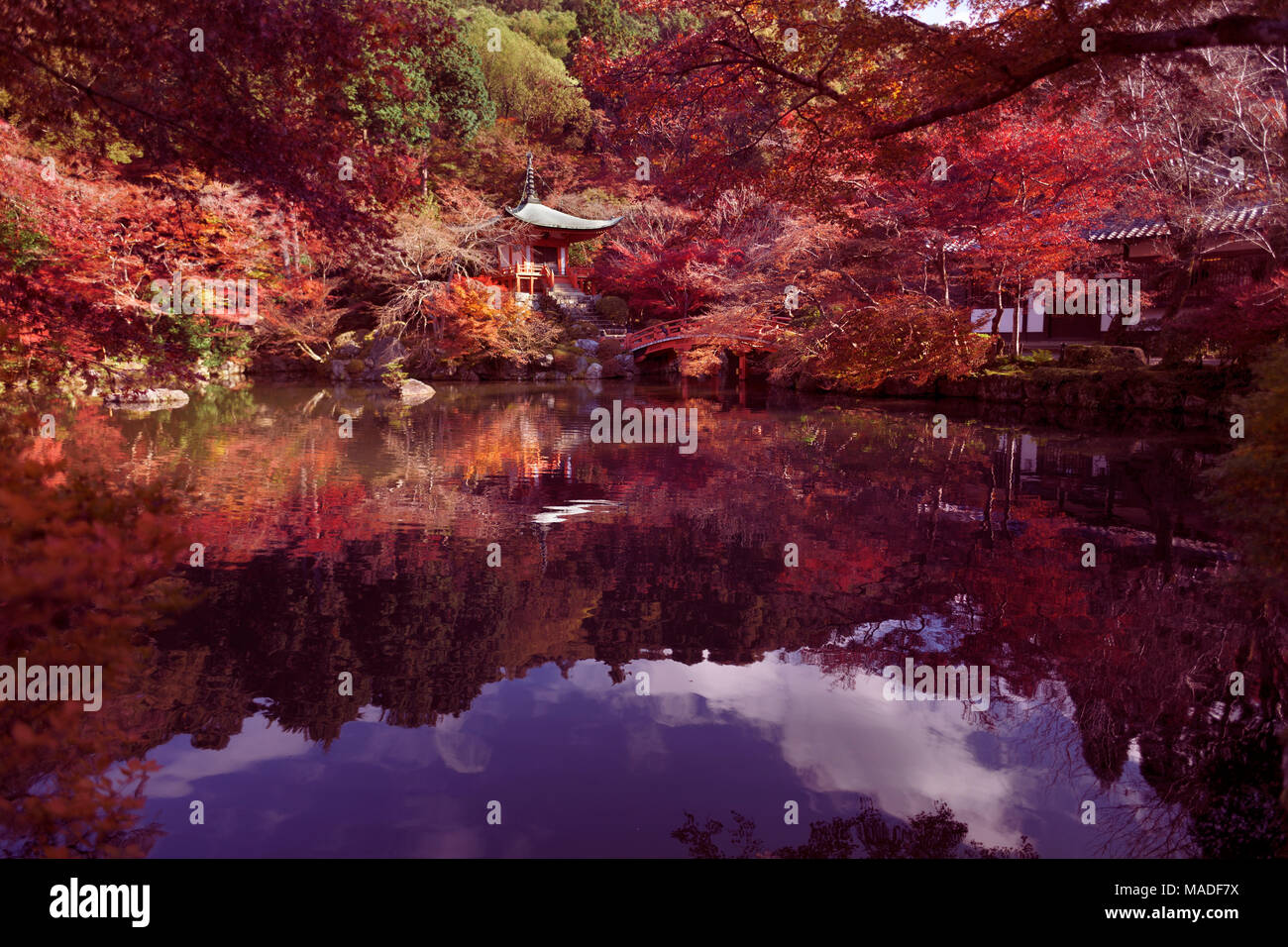 Maximimages hi-res stock photography and images - Alamy