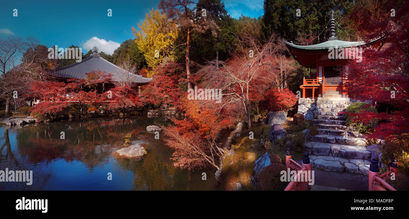 Maximimages hi-res stock photography and images - Alamy