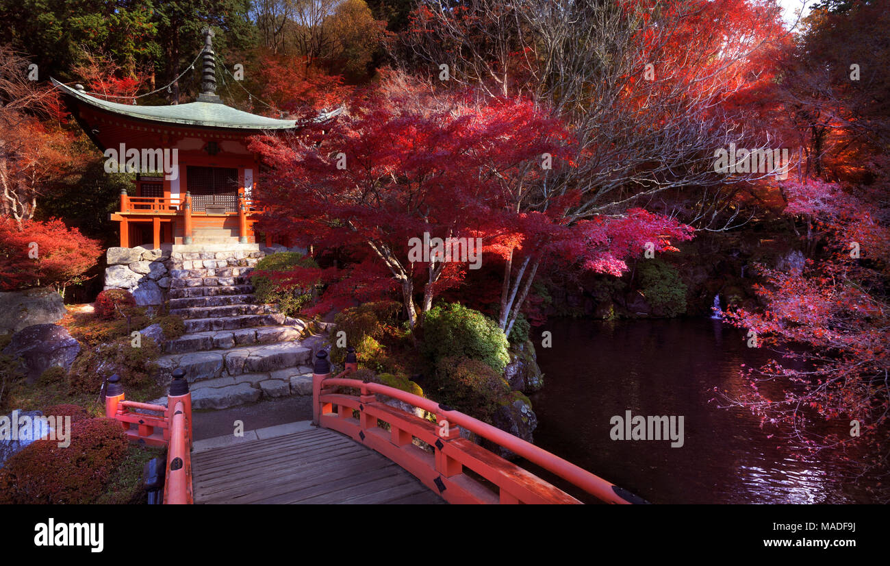 Maximimages hi-res stock photography and images - Alamy