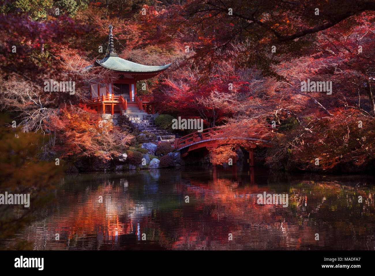 Maximimages hi-res stock photography and images - Alamy