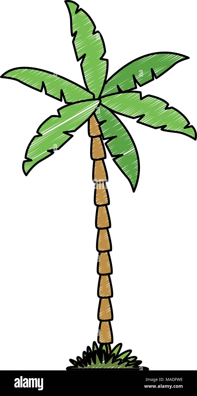 Palm tree isolated Stock Vector Image & Art - Alamy