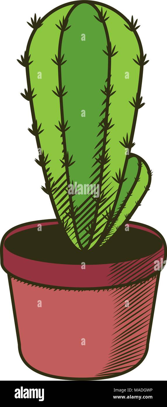 desert nature cactus plant inside flowerpot vector illustration Stock ...